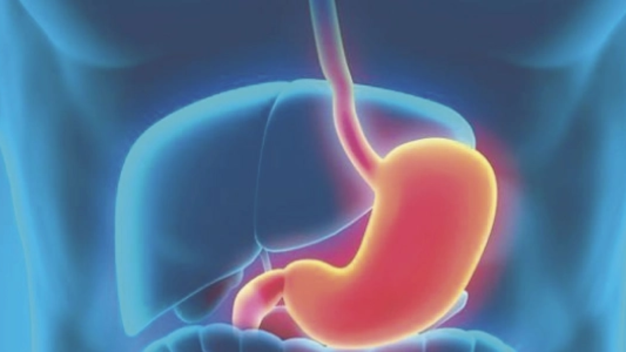 Quais são as causas da gastrite? Veja sintomas e como evitá-los ...